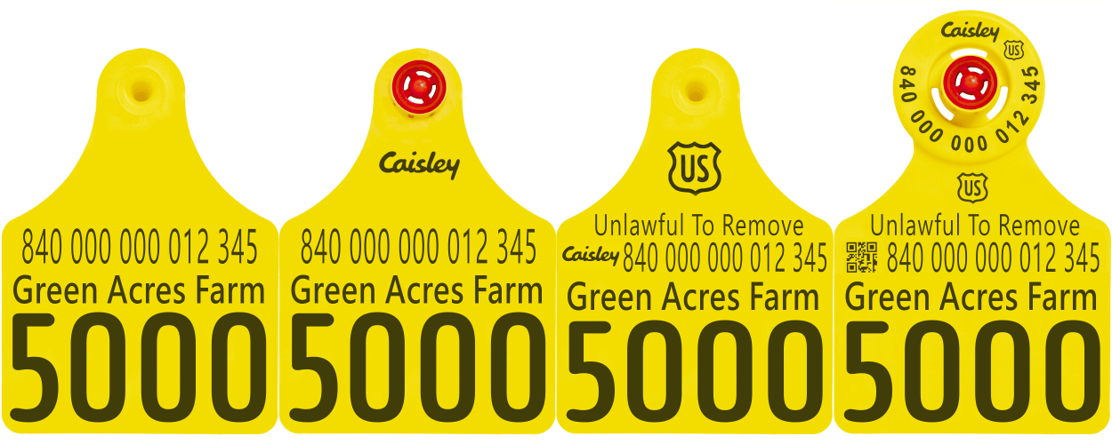 Caisley USDA (840) EID Cattle Ear Tags - Maxi Panel - Ear Tag Central