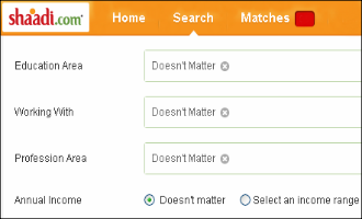 Now Find a Partner Based on 'Annual Income' - Shaadi Buzz