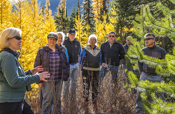 CANFOR outlines plans during Horsethief tour | Canal Flats, Columbia ...