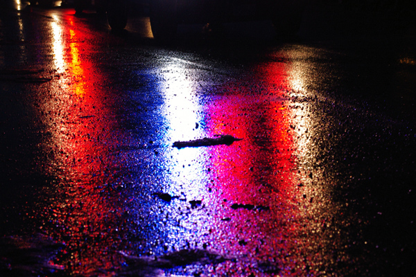 First call for rookie police dog results in arrest | Cranbrook