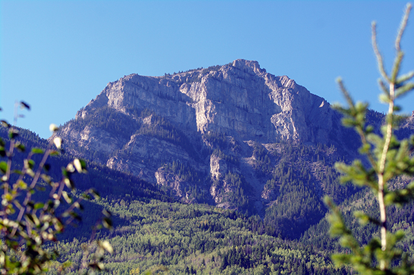 FrontCounter BC launches online Crown land applications | Cranbrook