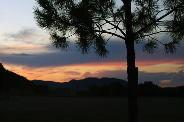 Obituary for Walter Elmer Nightingale