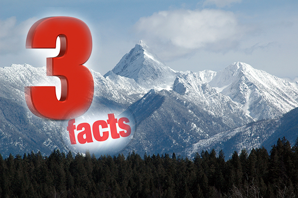 3 facts you need to know