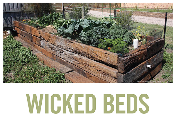 Wicked Raised Beds Workshops
