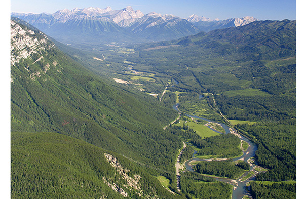 Understanding flow in the Elk River | Elk Valley, Fernie, Sparwood