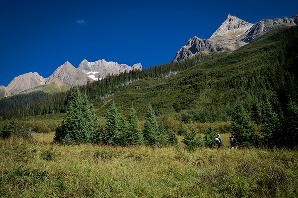 I love Jumbo wild: Arnor Larson | Columbia Valley