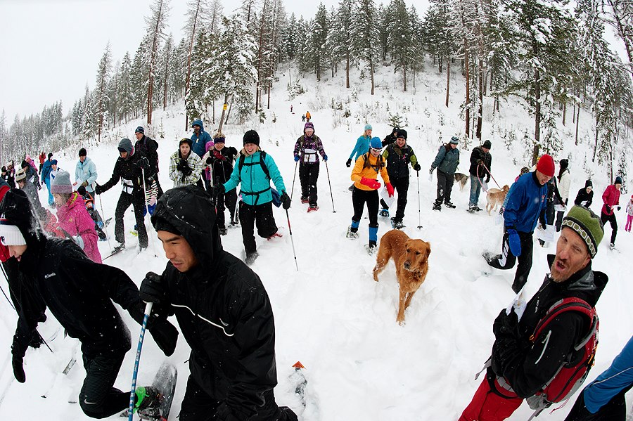 Turkey Run-Off Snowshoe Race