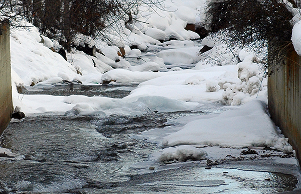 Groundwater rising due to ice buildup on Mark Creek | Kimberley