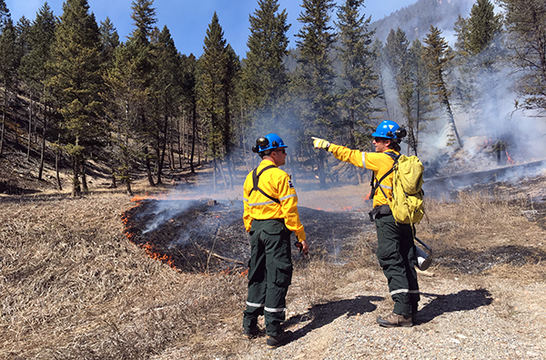 Prescribed fire underway near Radium | Columbia Valley, Radium