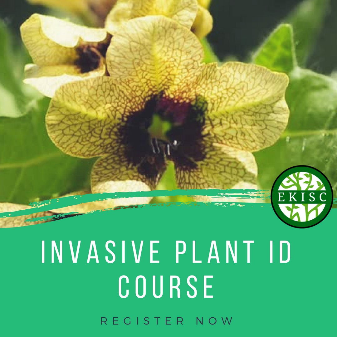 Invasive Plant ID Course