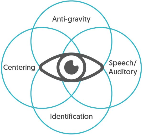 The Fundamentals of Auditory and Vision Development - Advanced Brain Technologies