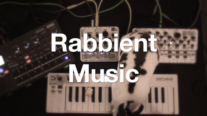 Overlays & Sound Packs For Modal Synths