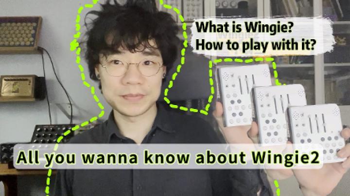 All You Need To Know About Wingie2