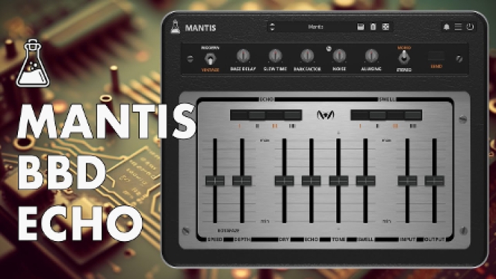 Vintage BBD Echo Emulated