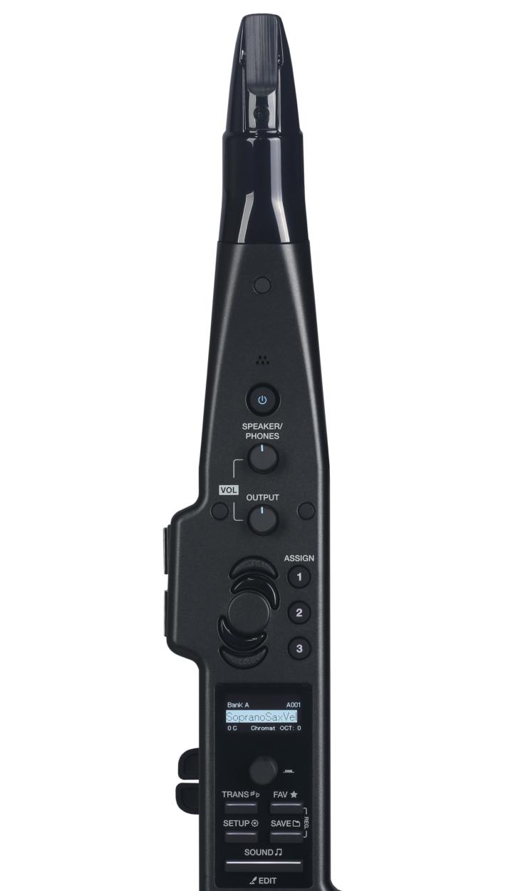 ASM Diosynth Wind Synth Instrument