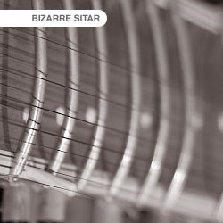 Tonehammer Intros Bizarre Sitar