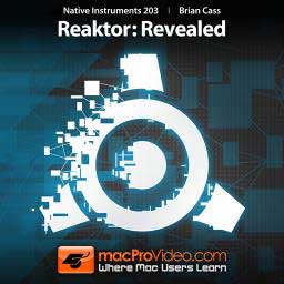 Reaktor Revealed