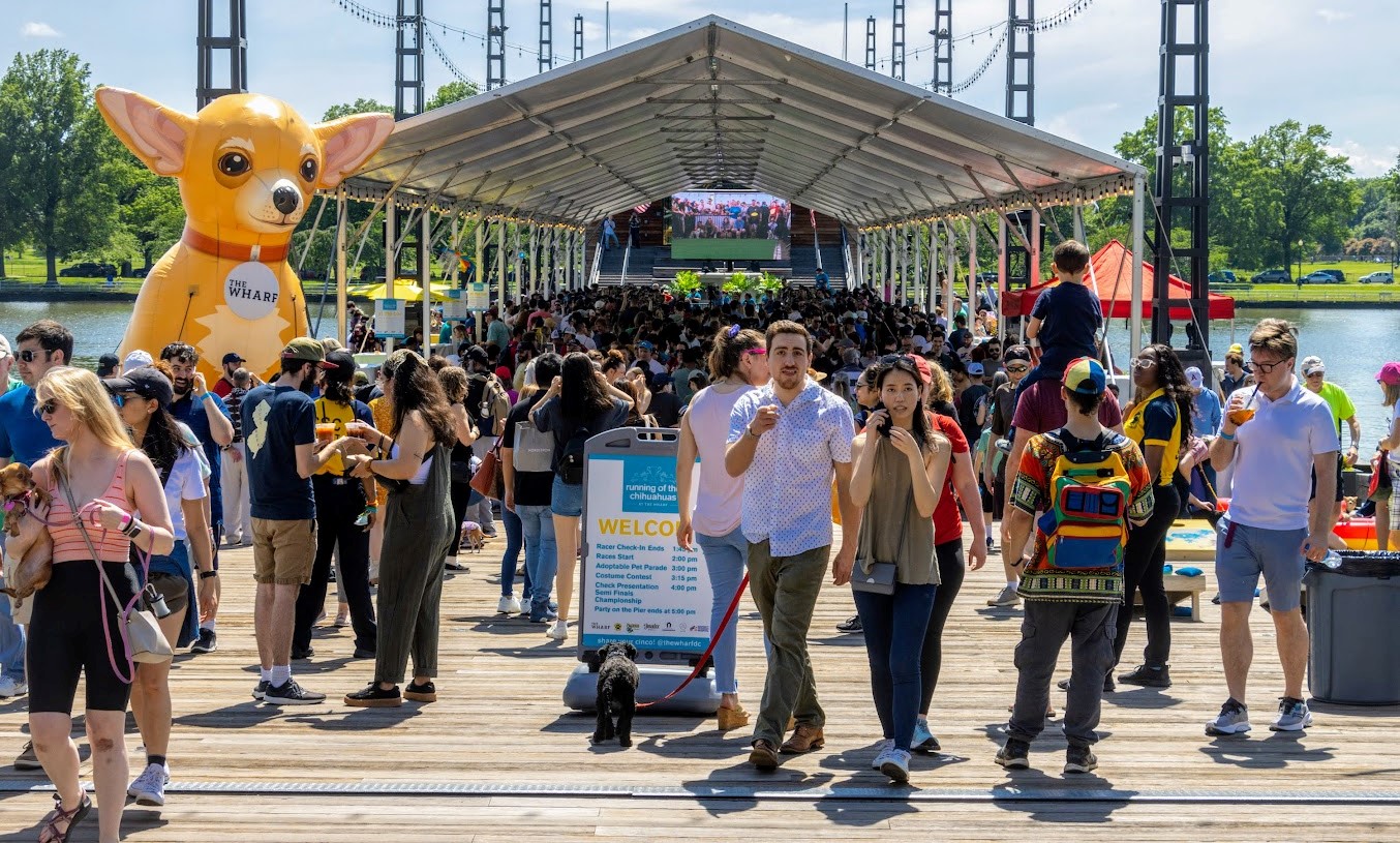Running of the Chihuahuas at The Wharf DC