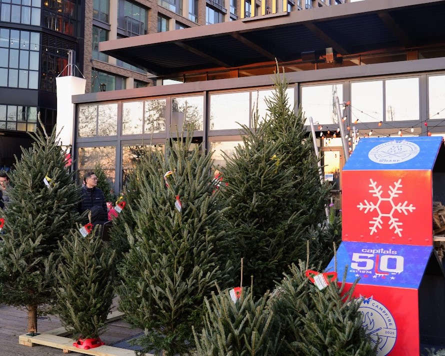The Christmas Tree Market at The Wharf