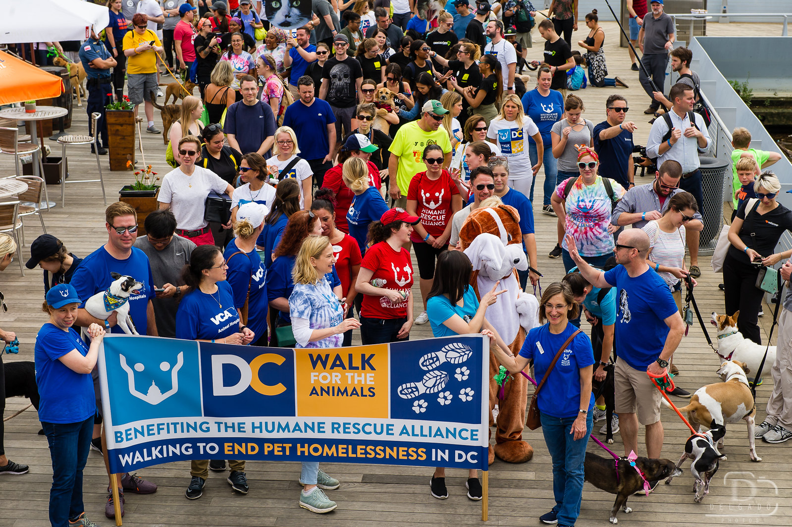 DC Walk for the Animals