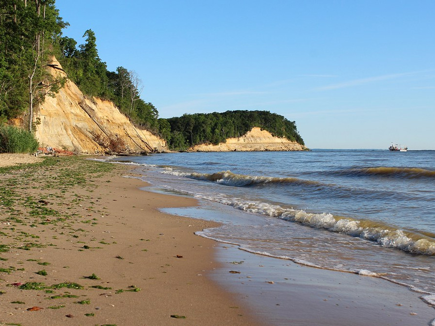 J-Family Field Trip: Explore Calvert Cliffs with a Geologist - Bender JCC