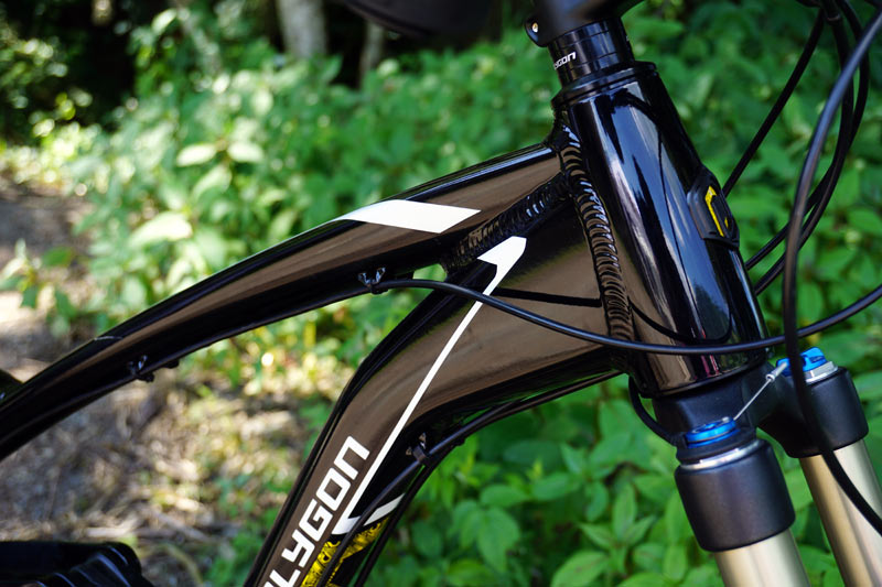 Polygon adds alloy Collosus N6 enduro & new DH models, plus their first ...