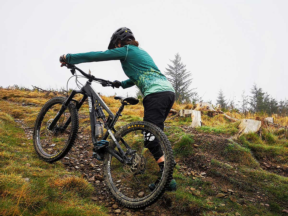 Bird Aeris AM long-term review: Confidence inspiring, playful, and ...