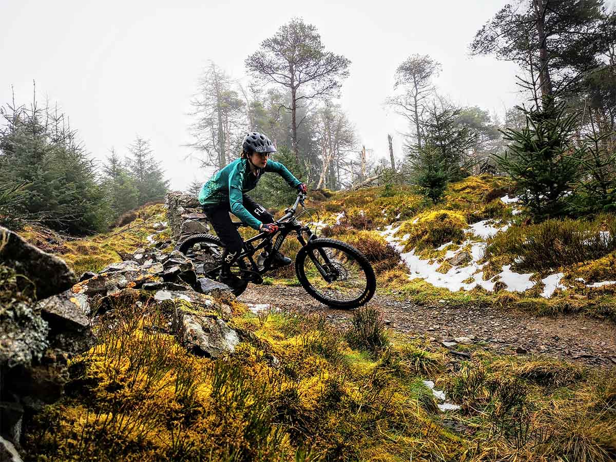 Bird Aeris AM long-term review: Confidence inspiring, playful, and ...