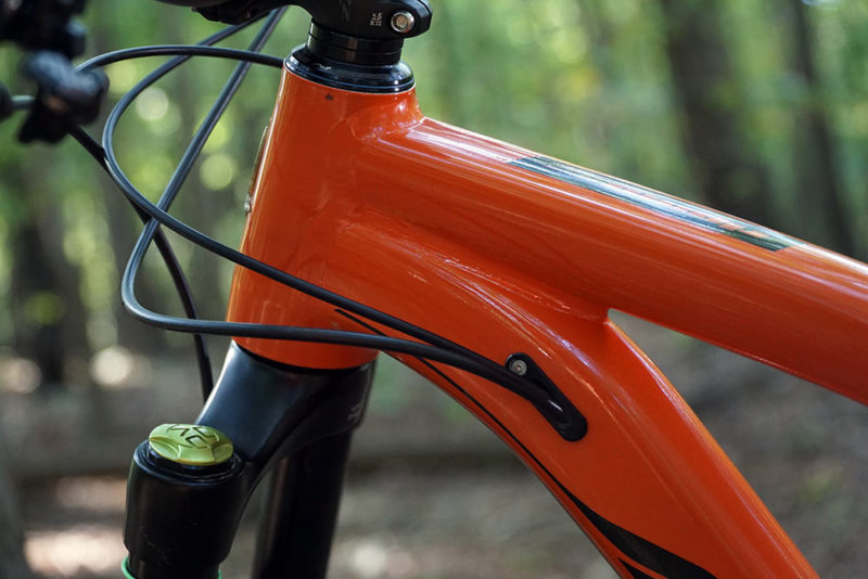 Ride Review: New Ibis Ripmo AF tames Tennessee's trails, from ...