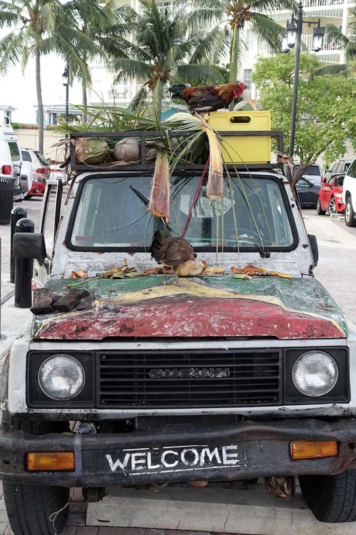 Where to Ride: How to take your bicycle on a cruise ship - Bikerumor