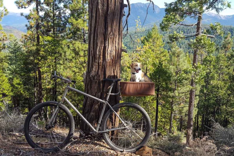 (Long) Road to NAHBS 2020 – Teaser interview w/ Steve of Steve Potts ...