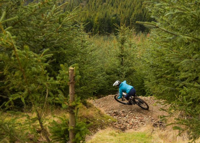 AASQ #85: What is pedal kick back? Full suspension chain growth ...