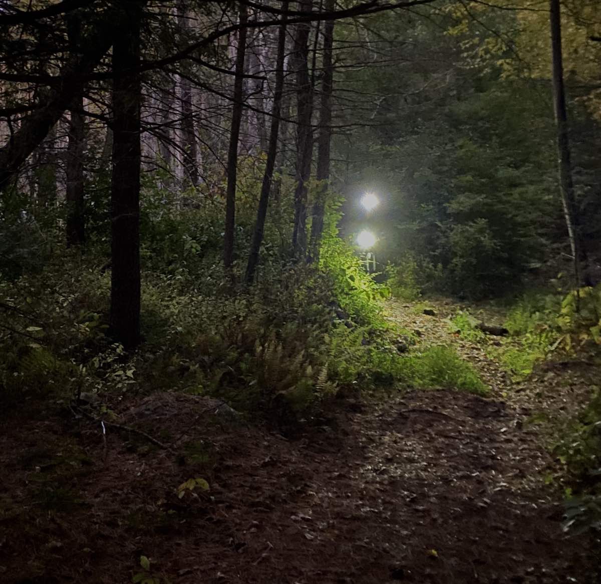Bikerumor Pic Of The Day: Boxford State Forest, Massachusetts - Bikerumor