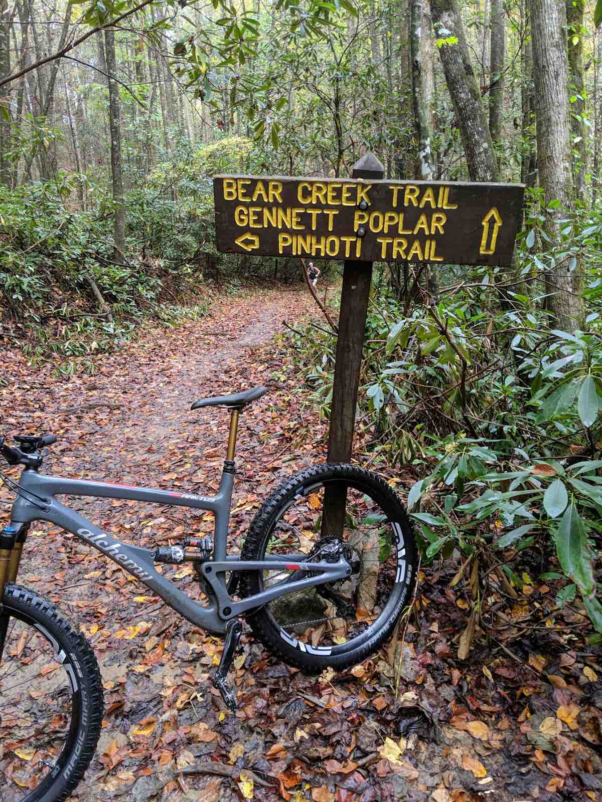 Bikerumor Pic Of The Day: Pinhoti Trail System, Georgia - Bikerumor