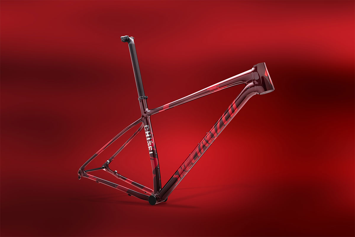 Limited Edition Specialized Chisel "Disrupt the Decay" Artist Series ...