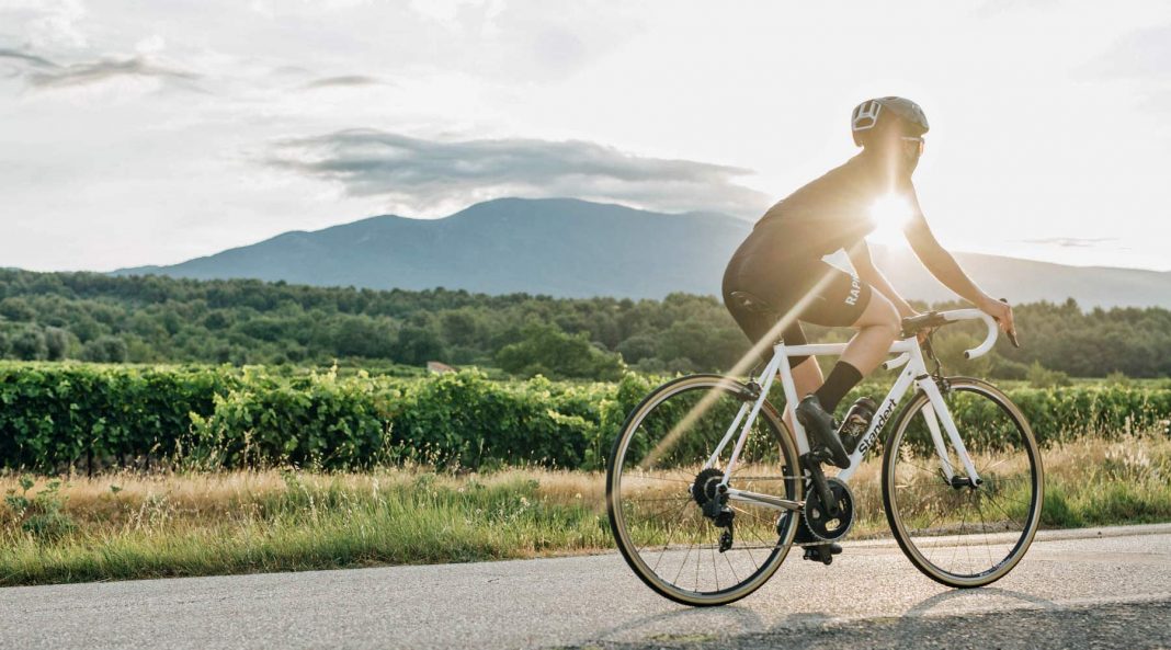 Standert Triebwerk CR builds beautiful classic steel road bike - Bikerumor