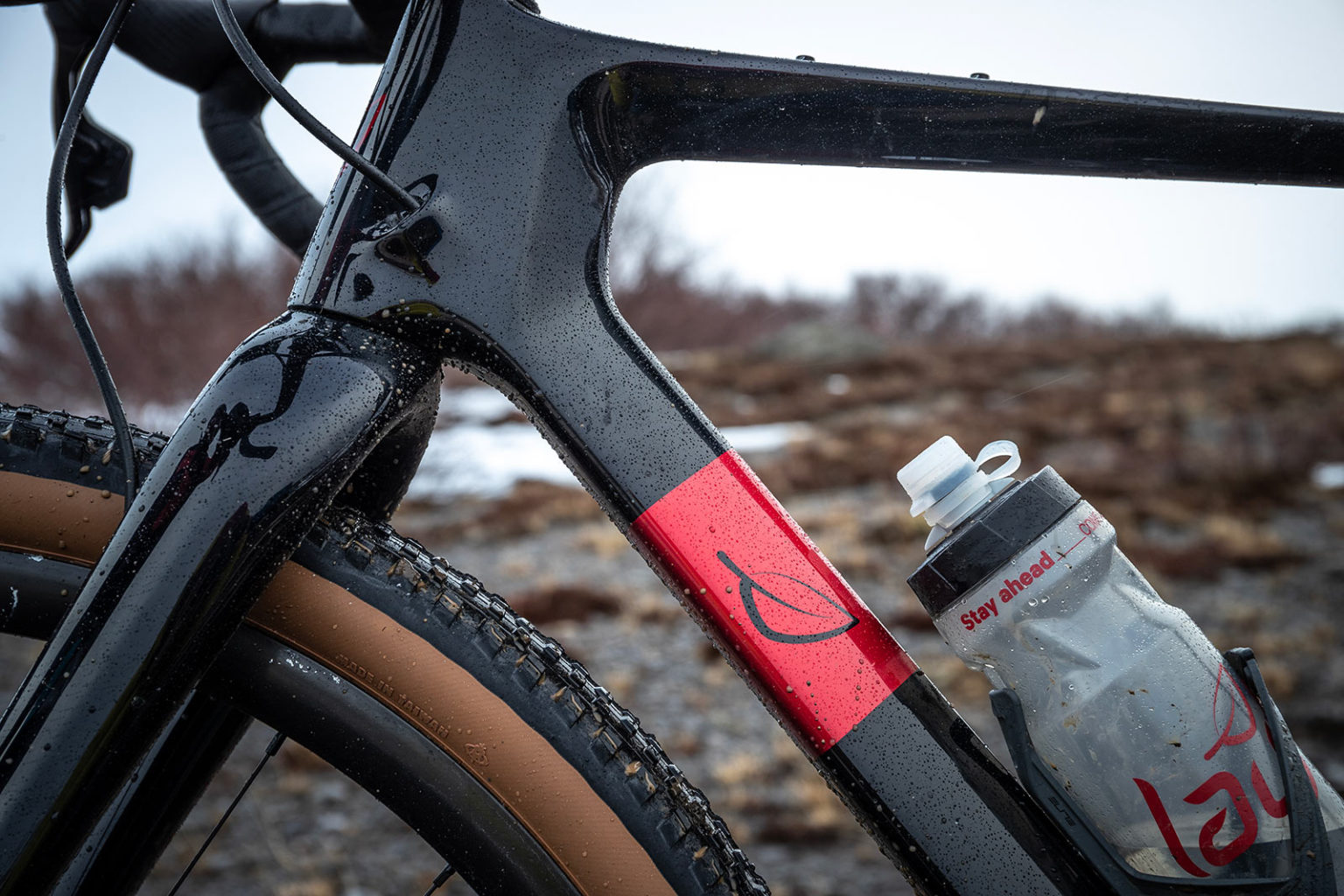 All-new Lauf Seigla gravel bike dramatically boosts compliance & tire ...