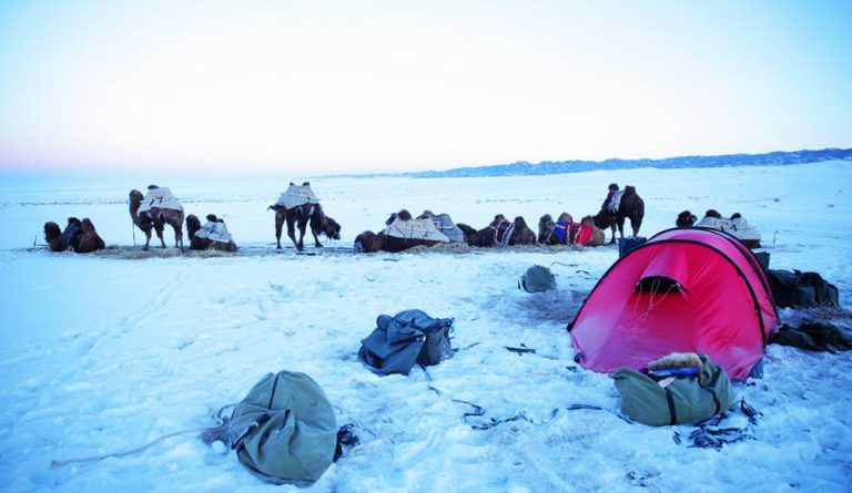 Interview with Baigalmaa Norjmaa: Mongolia to London by Camel ...