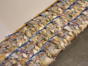 ALE: Behind the Scenes of a Hercules Inlet Sled Trip » Explorersweb