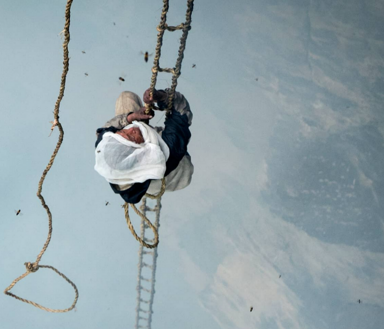 100 Adventure Films to Stream for Free » Explorersweb