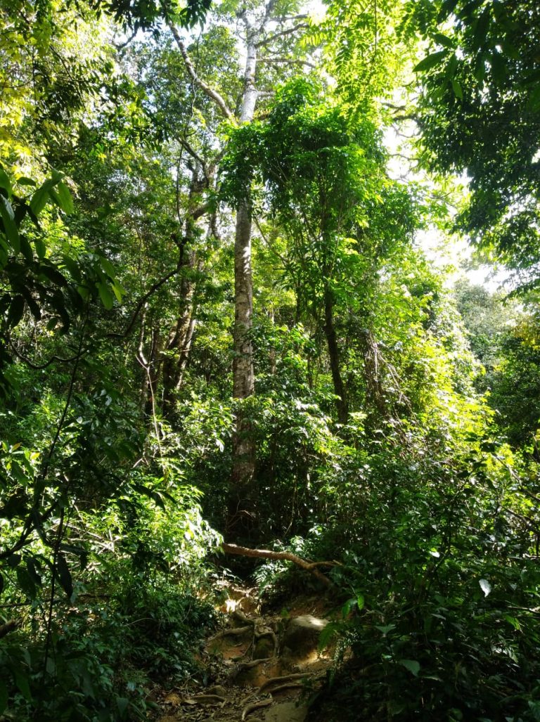 The Annamites: Vietnam's Unknown Mountains » Explorersweb