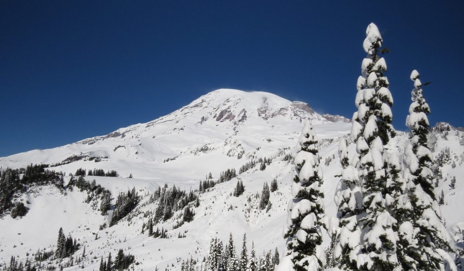 Back From the Dead on Mount Rainier » Explorersweb