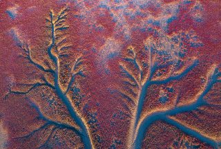 Natural Wonders: China's Red Beach » Explorersweb