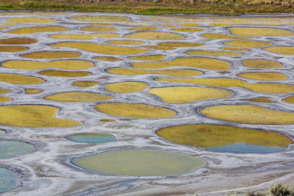 Natural Wonders: Spotted Lake » Explorersweb