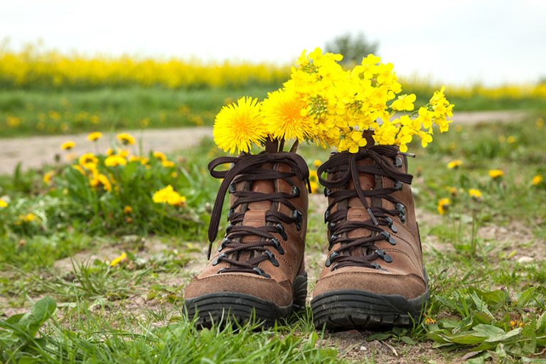 Tales From the Wild Side: The Lost Boots » Explorersweb