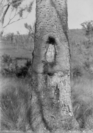 Exploration Mysteries: The Disappearance of Ludwig Leichhardt ...