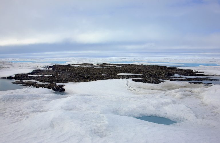 New Northernmost Island Discovered? Maybe Not » Explorersweb