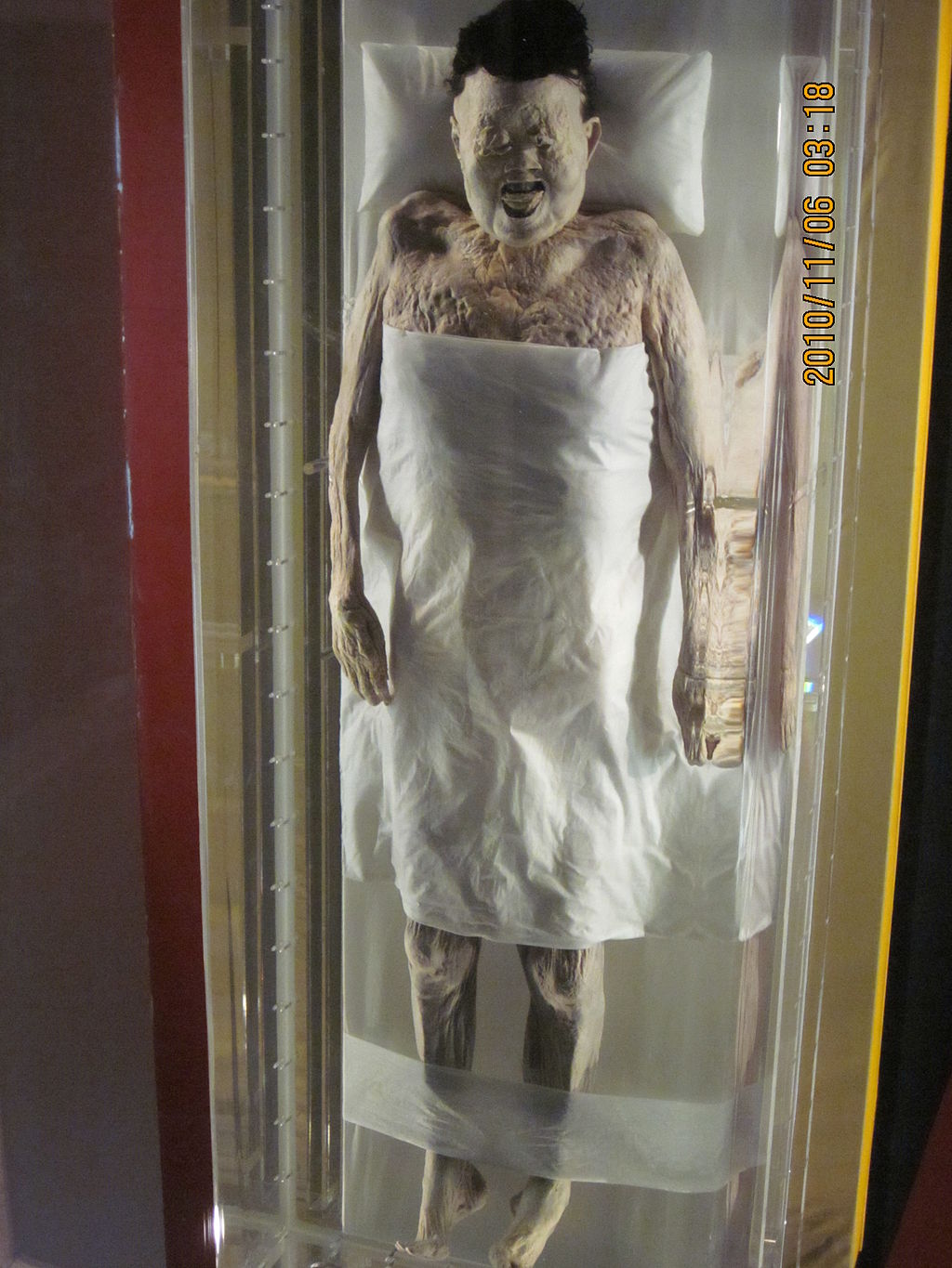 The Mummy Files: Deciphering the World's Best-Preserved Ancient Bodies ...