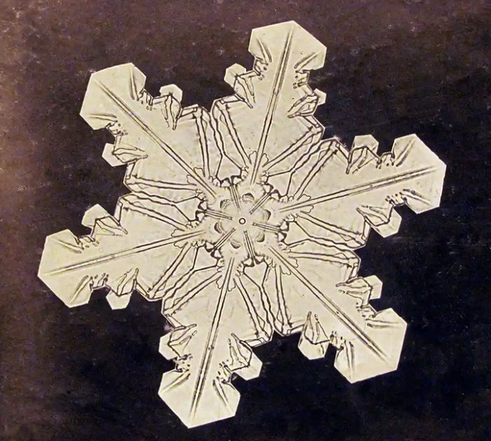 Enjoy Snow? Here's the Man Who Took the First Pictures of Snowflakes ...