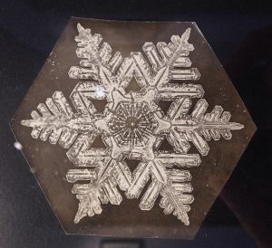 Enjoy Snow? Here's the Man Who Took the First Pictures of Snowflakes ...